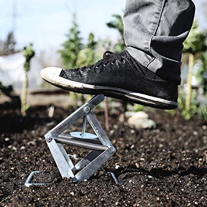 Top 10 Best Mole Traps Reviewed (**2019 Edition**) - Trulyrichmom.com