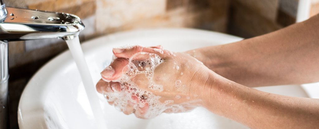 How To Clean Your Hands After Touching Feces - Trulyrichmom.com